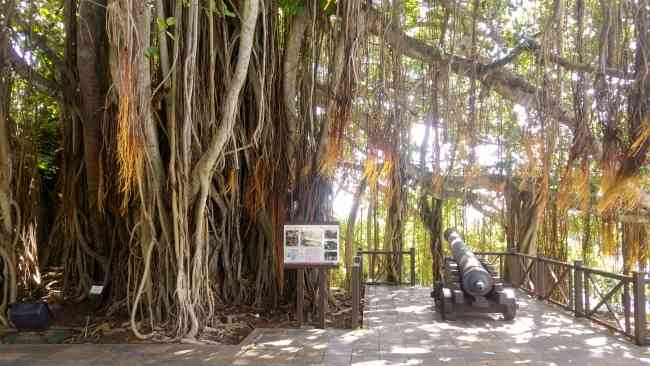 Balaclava Ruins in Mauritius - Little Known Open Air Museum